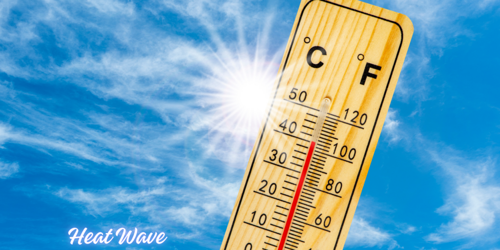Sun, Heat, and Safety: Navigating Workplace Hazards in Summer ...